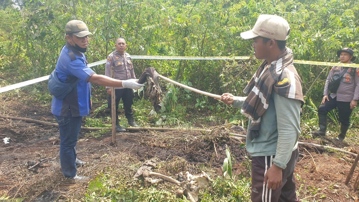 Kerangka Manusia Ditemukan di Semak Belukar Mempawah - BERKABAR.CO.ID